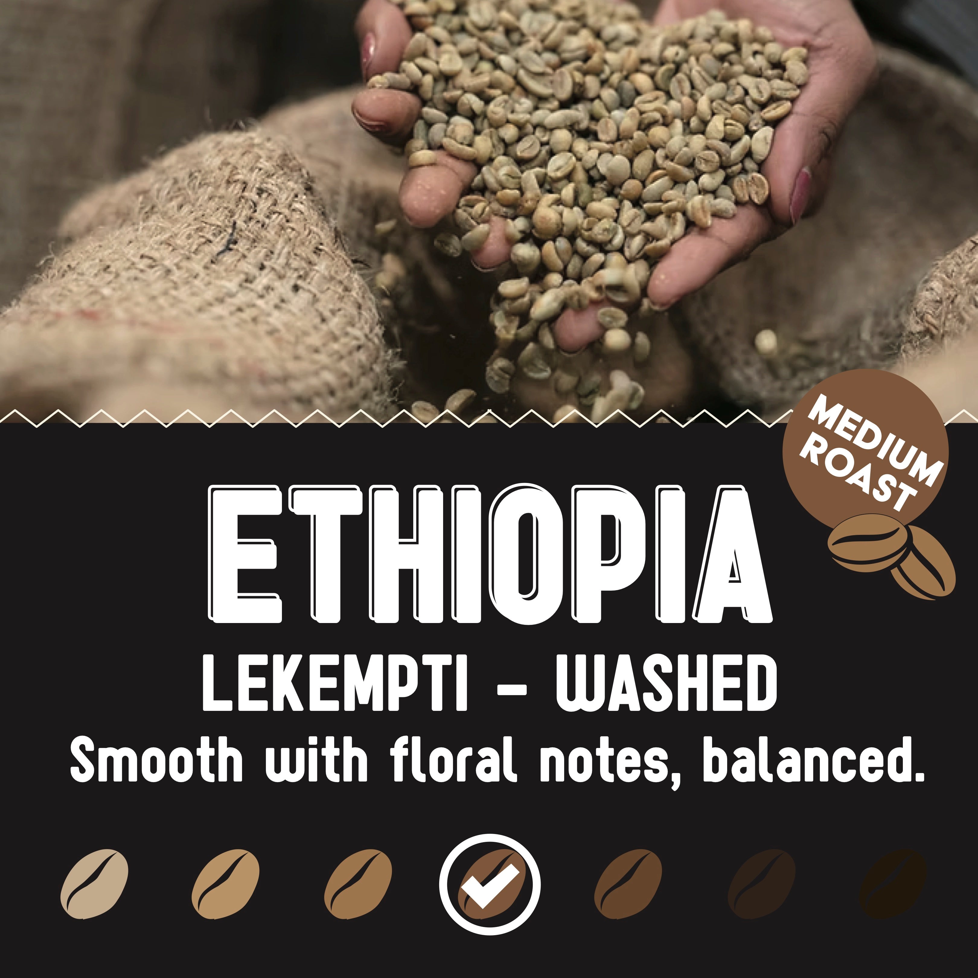 Ethiopia Lekempti Washed Medium Roast | Bulk 5lb. – Espresso Outlet LLC